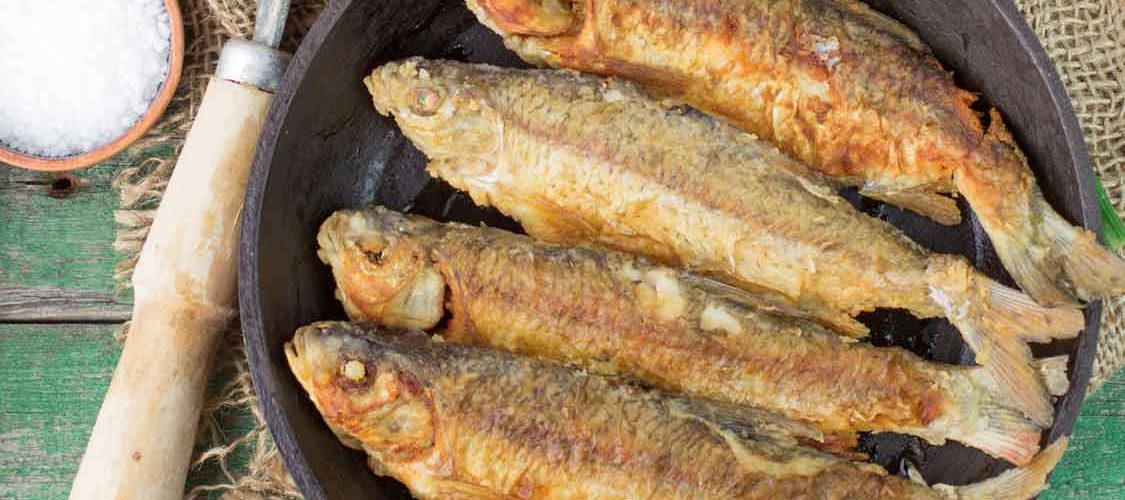 Peixe frito à minha moda – À Moda do Flávio Furtado – Site e Blog de ...